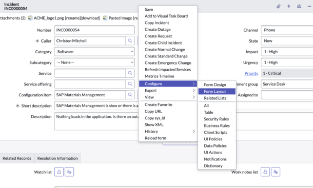 How To Add A Custom Field To An Application/Form - The Snowball